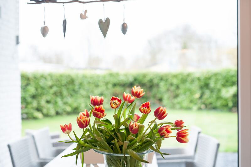 Ferienhäuser im Ferienpark Banjaard | Ruiterplaat Ferien