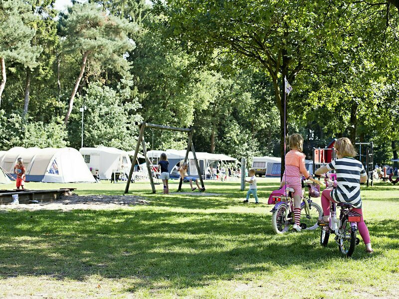 Camping Beerze Bulten: Fünf-Sterne-Campingplatz & ADAC Superplatz 2024