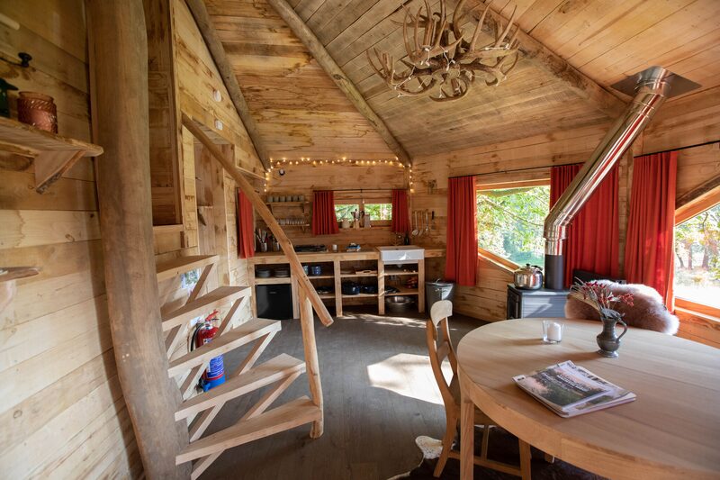 🌳 Boomhut overnachting | Warredal