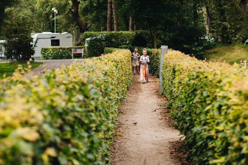 Camping Beerze Bulten: Fünf-Sterne-Campingplatz & ADAC Superplatz 2024