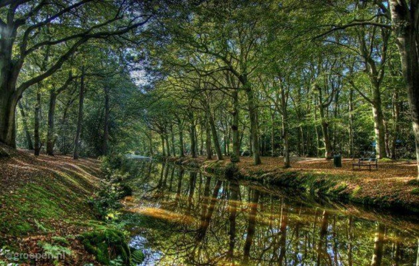 Groepsaccommodaties in Schoorl - GROEPEN.NL
